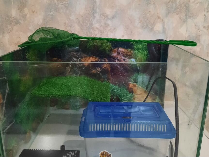 Террариум для черепахи