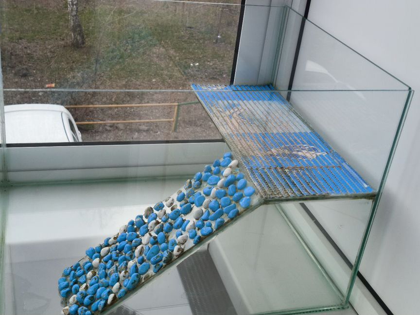 Акватеррариум для черепахи