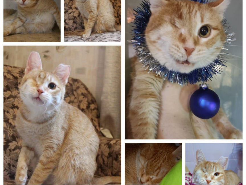 В самые лучшие ручки