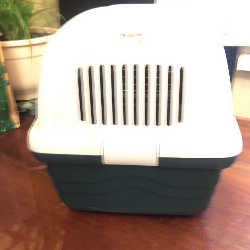 Переноска-бокс