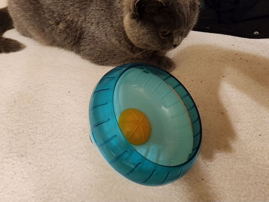 Бесшумное колесо для грызунов/ новое фирма zolux