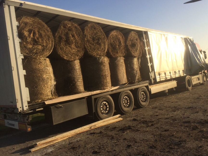 Сено с ангара, солома в Рулонах доставка