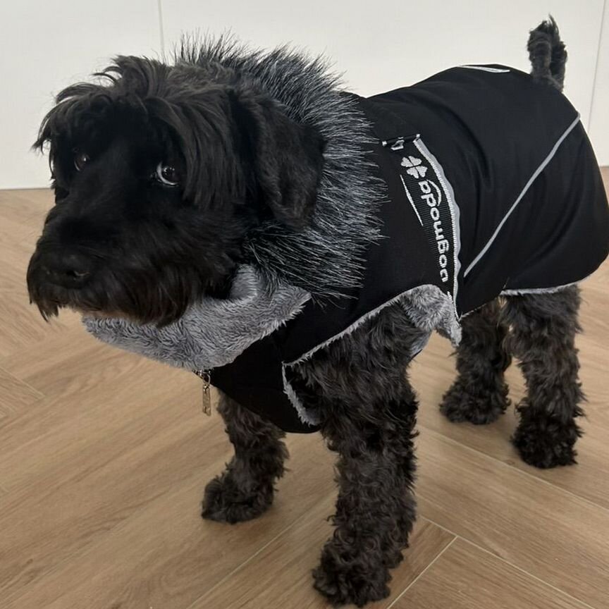 Одежда для собак