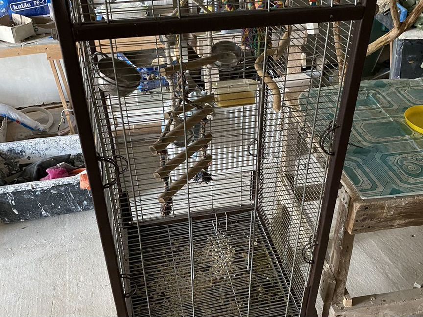 Вольер для попугая