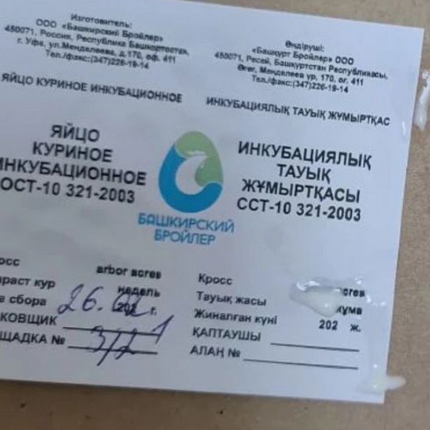 Инкубационное яйцо бройлера Арбор айкрес Башкирия