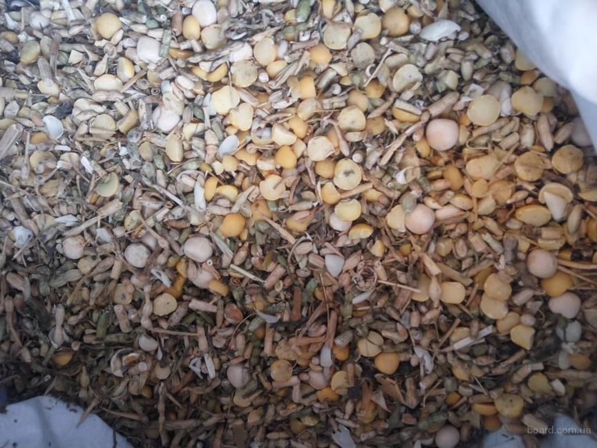 Отходы гороха