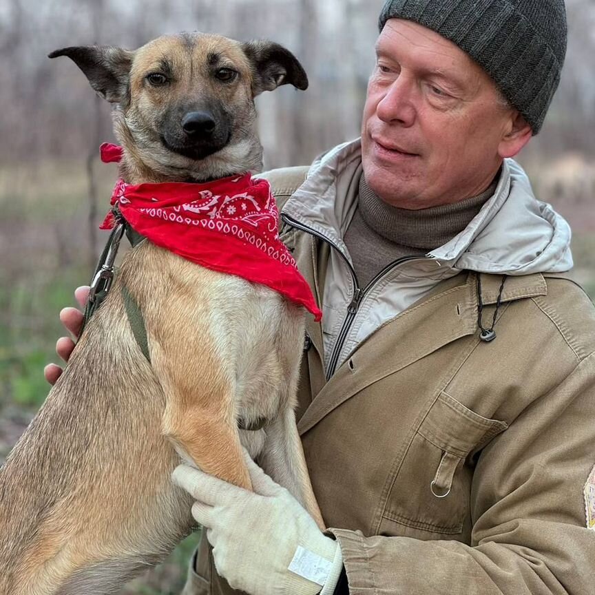 Собака Креветка.Спаси меня я мёрзну в клетке