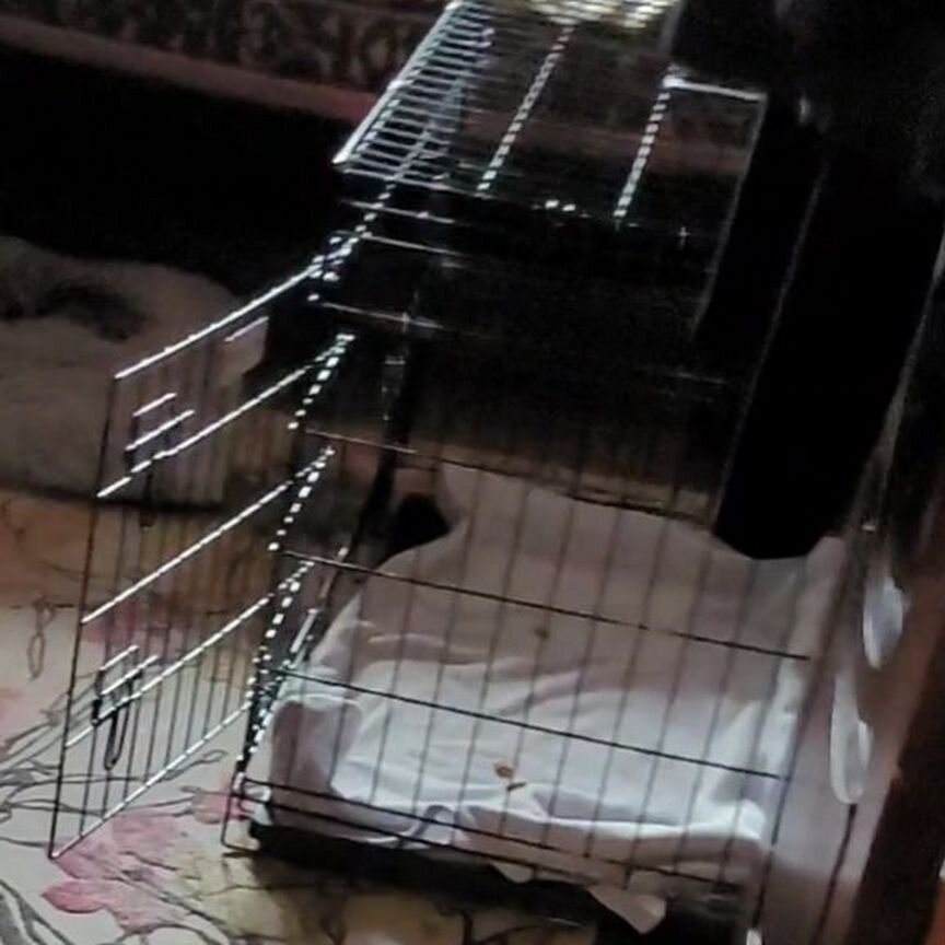 Клетка вольер для собак бу