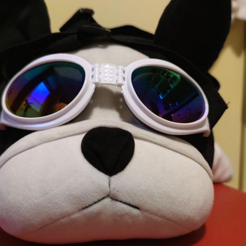 Очки для животных (собак)