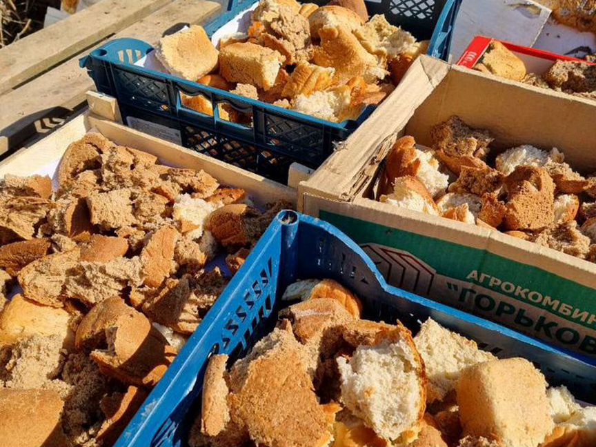 Хлеб для животных