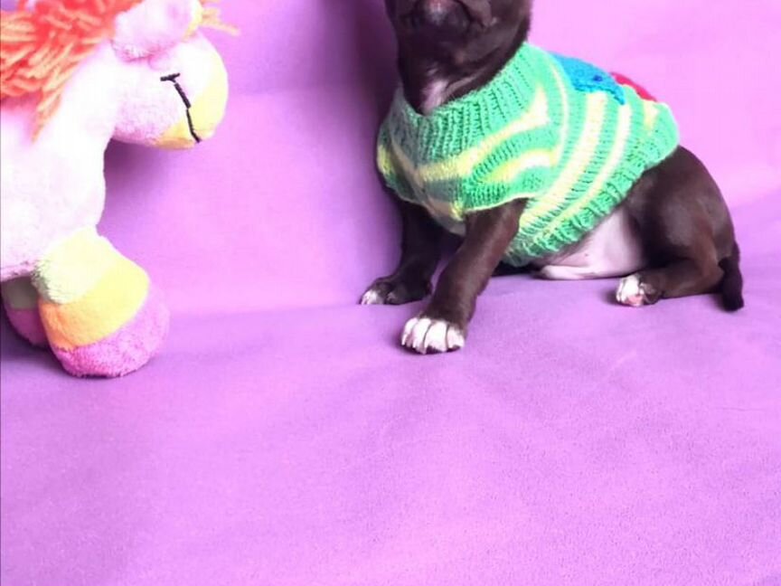 Мальчик чишка