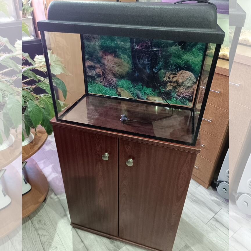 Аквариум с тумбой 60 литров