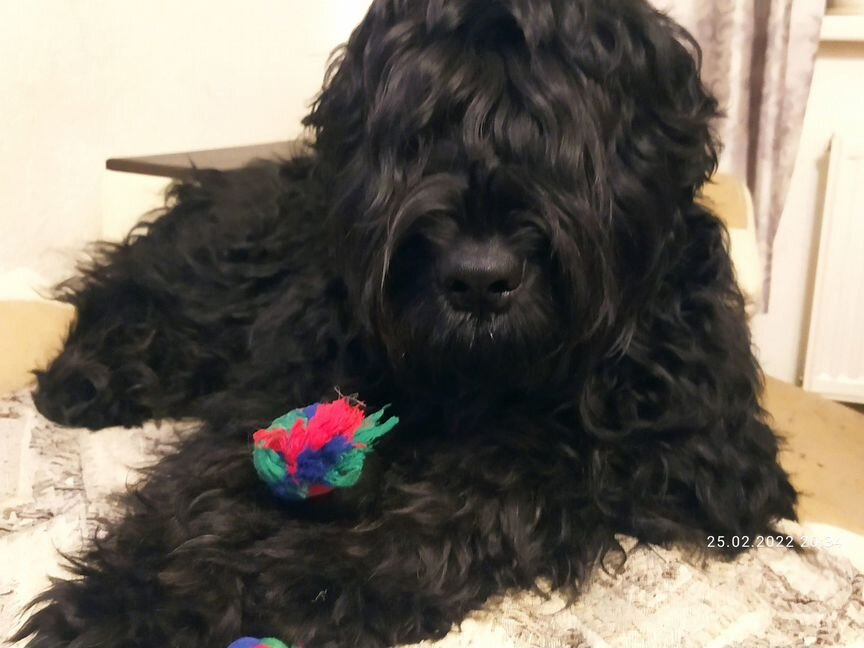 Для вязки предлагается