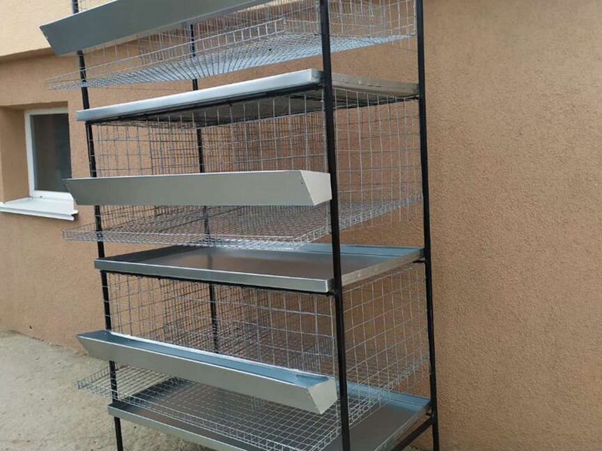 Клетки для кур-несушек