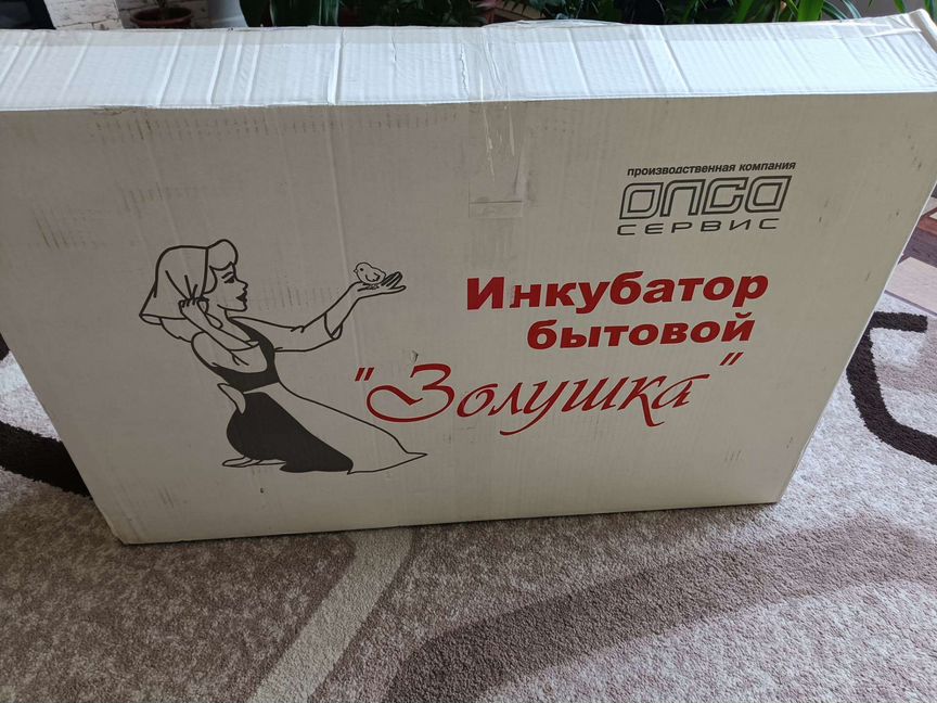 Инкубатор