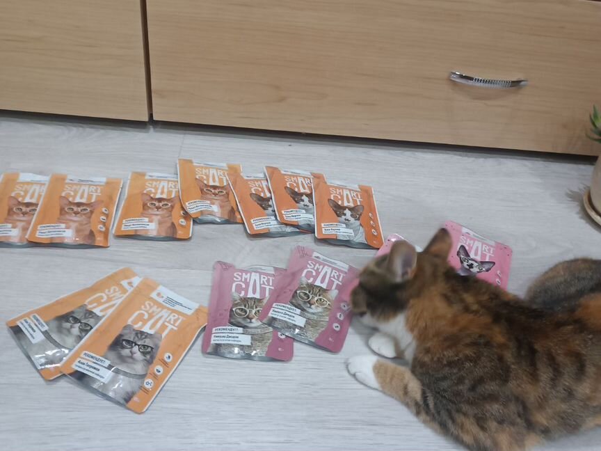 Влажный корм для кошек Smart cat