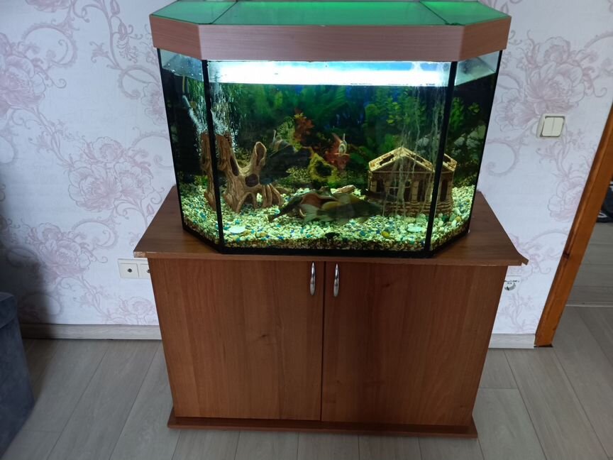 Аквариум с рыбками и тумбой
