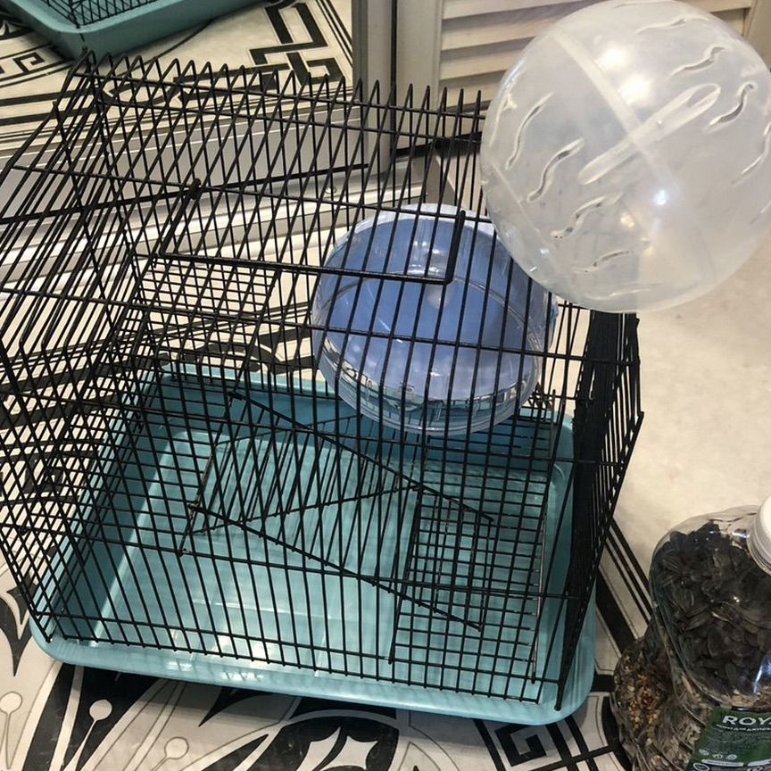 Клетка для джунгарского хомяка