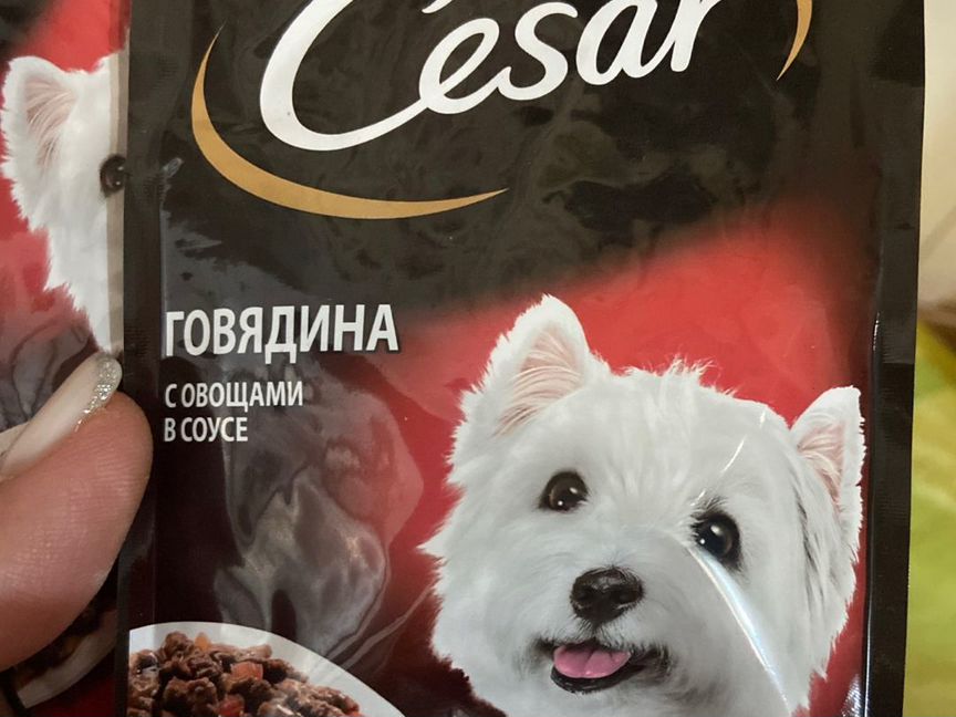 Корм для собак
