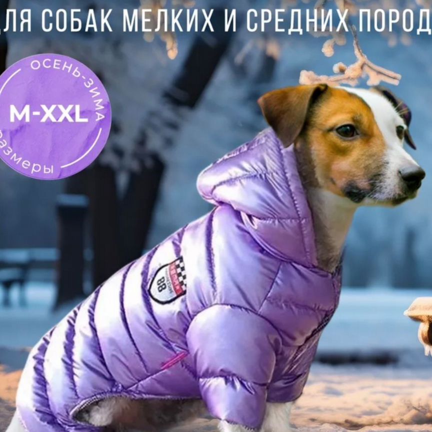 Одежда для собак