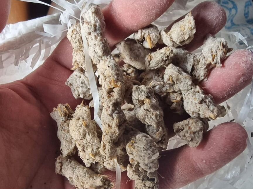 Экструдированная пшеница