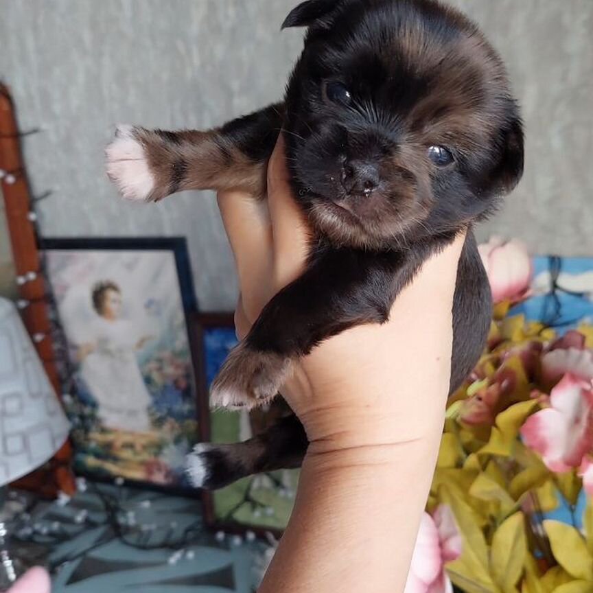 Волшебная девочка