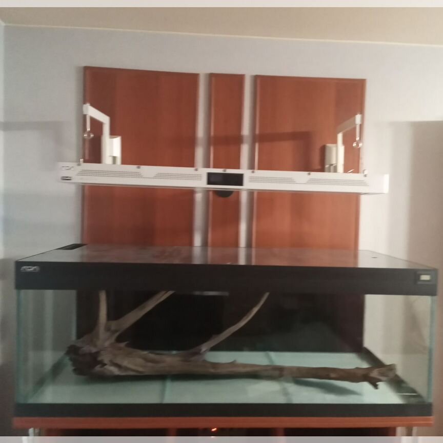 Большая мангровая коряга в аквариум