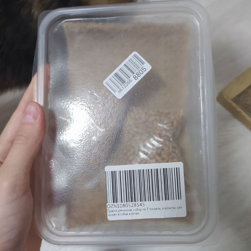 Набор для проращивания травы для кошки