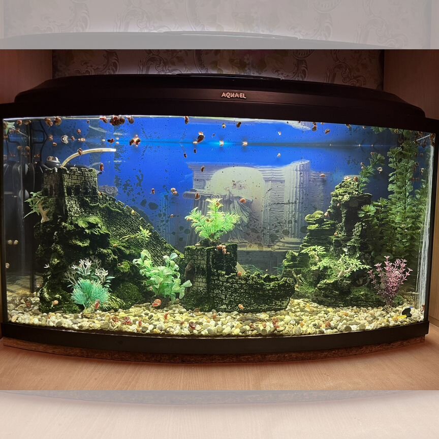 Для аквариума