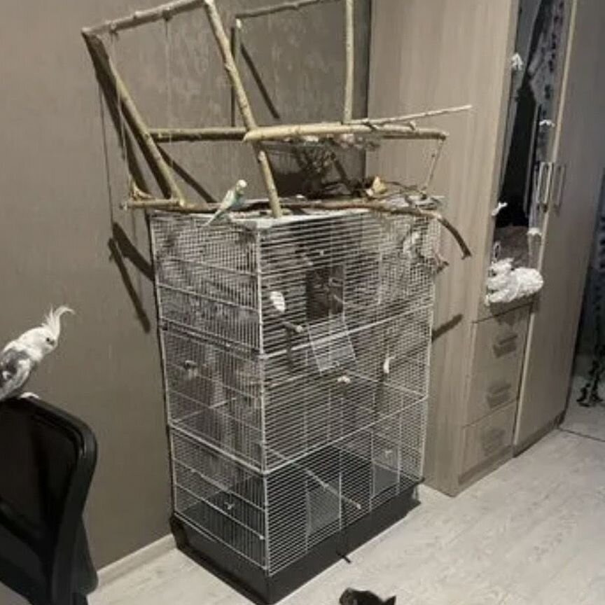 Клетка для попугая