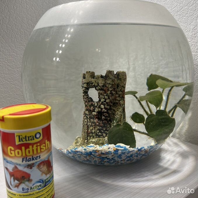 Аквариум с водорослями и компресорором. Флорариум