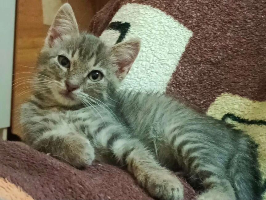 Мальчик ищет семью