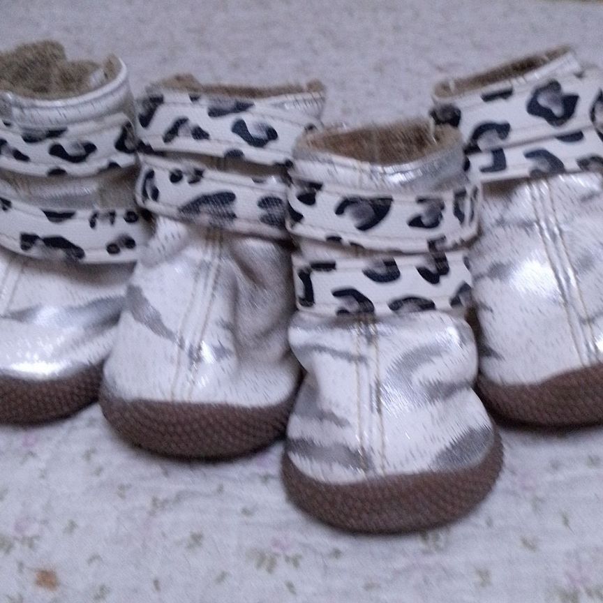 Сапожки на мопса