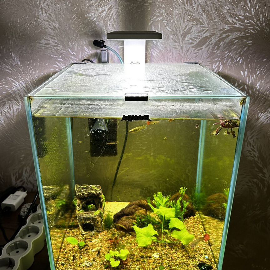 Аквариумы 30л aquael