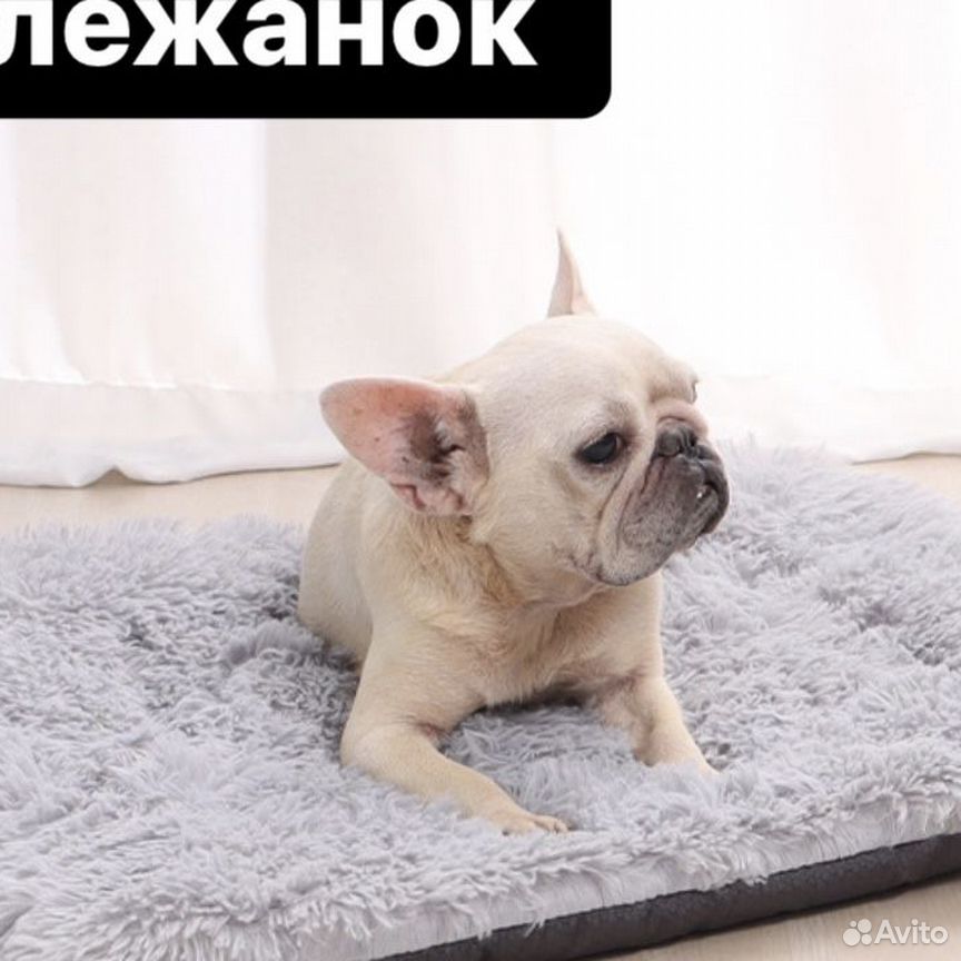 Лежанки для собак и кошек