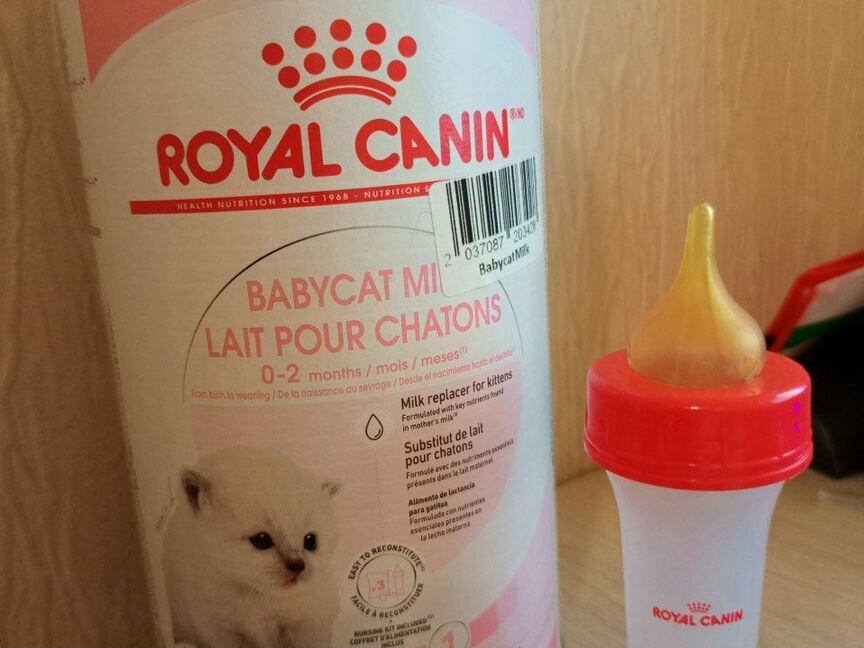 Смесь для котят royal canin
