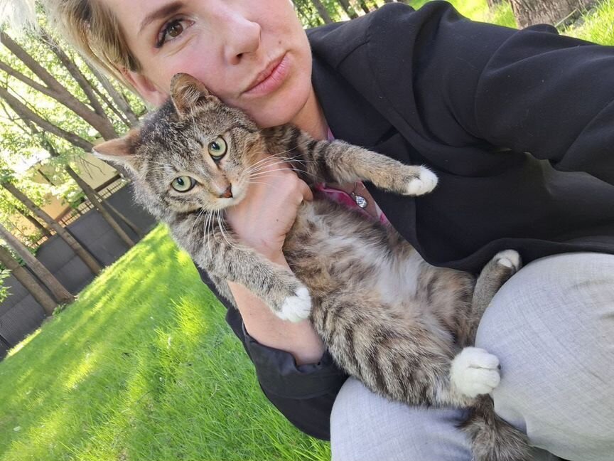 Котенок мальчик 8 мес