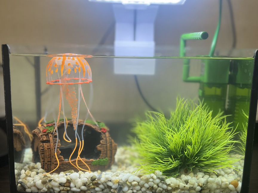 Аквариум на 5 литров со всем необходимым