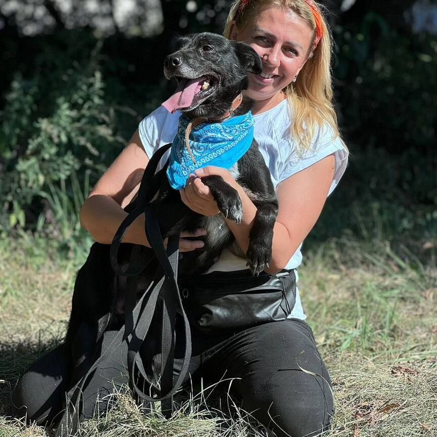 Тучка-небольшая собачка из приюта ищет дом