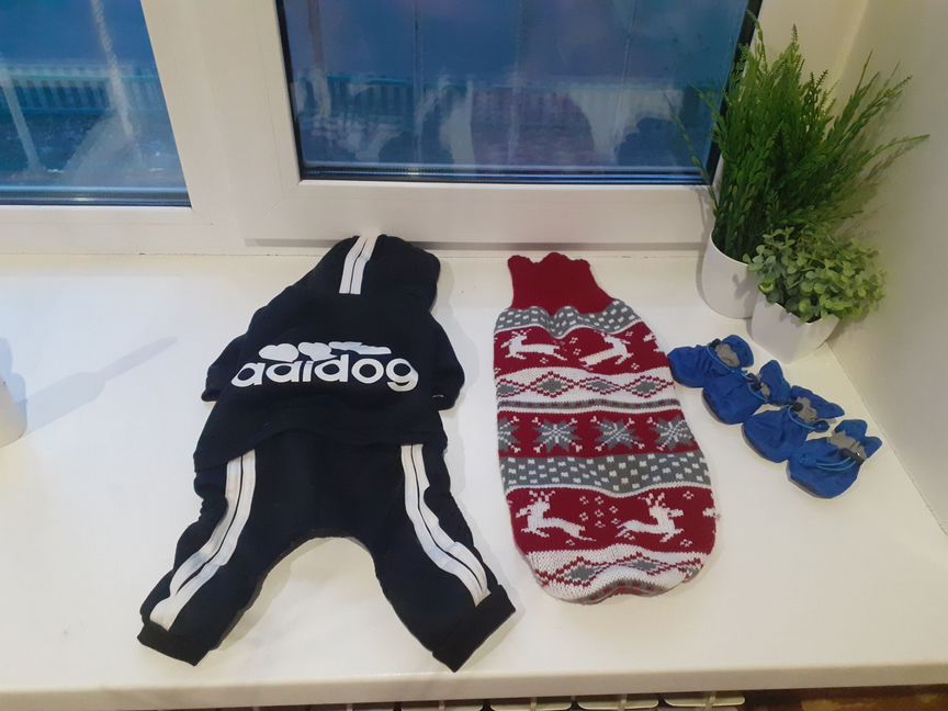 Одежда для собак