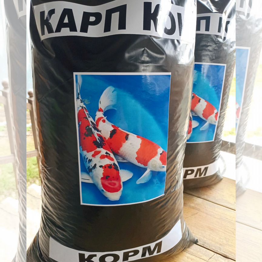 Корм кои