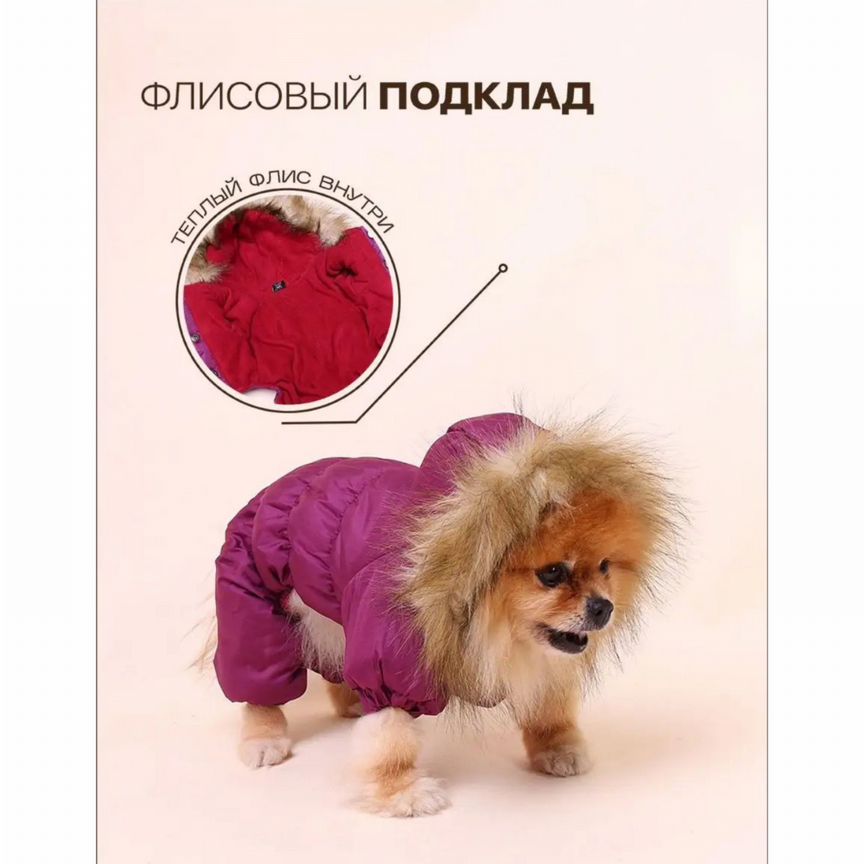 Одежда для собак