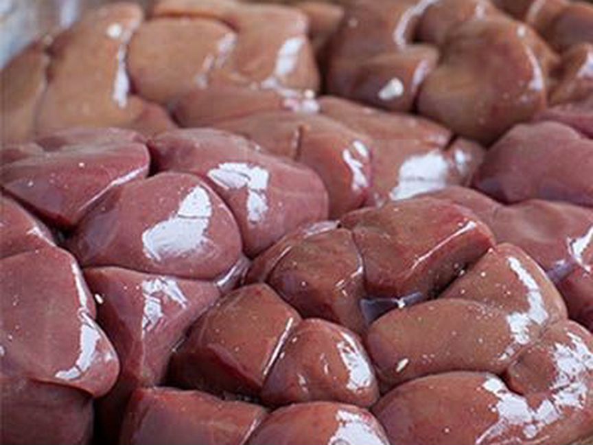 Говяжьи почки для собак