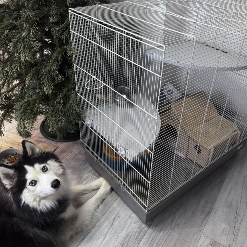Клетка для шиншиллы бу