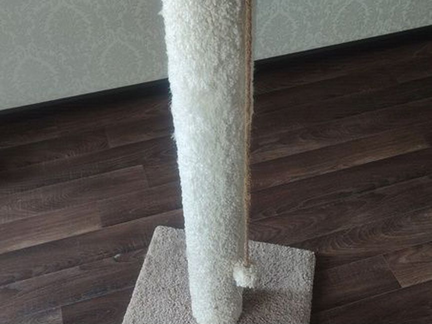 Когтеточка для кошки