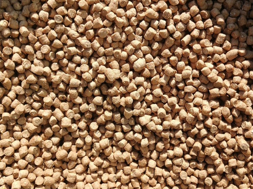 Корм для клариевого сома