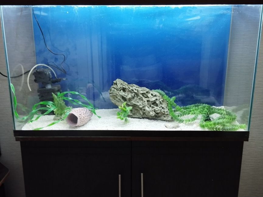 Аквариум с тумбой на 200 литров