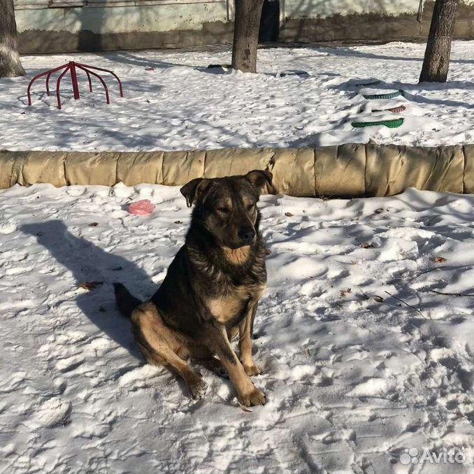 Надеюсь найти кров