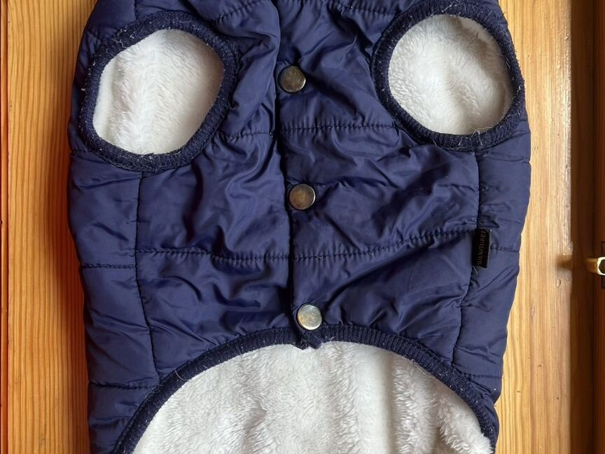 Одежда для собаки мопс