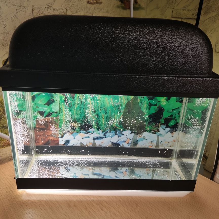 Аквариум 5 литров